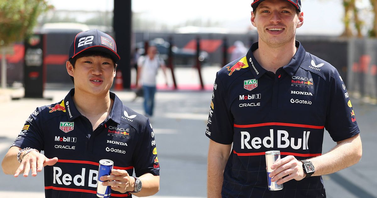 Verstappen's New Teammate: How Max Dominated Past F1 Partners ...